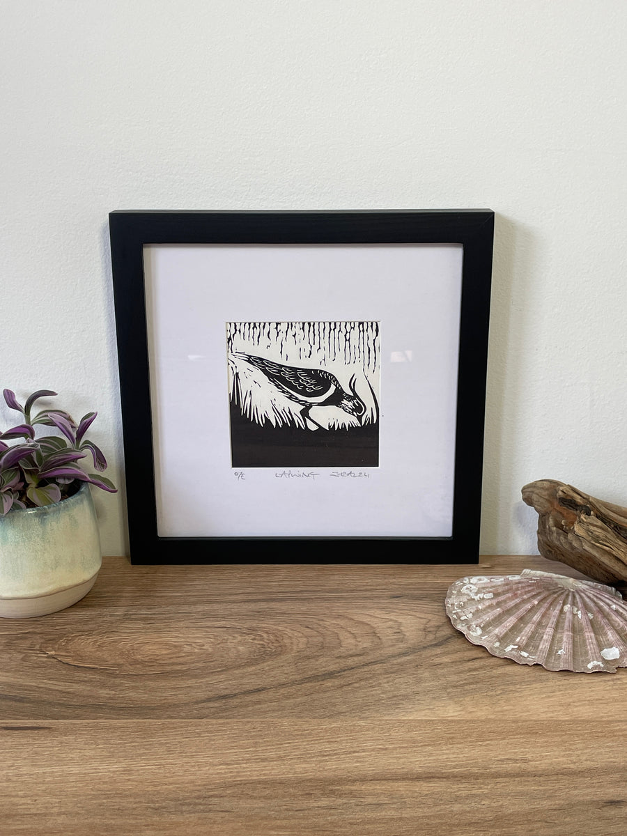 Lapwing - Linocut art print – Jackdaw and Bear