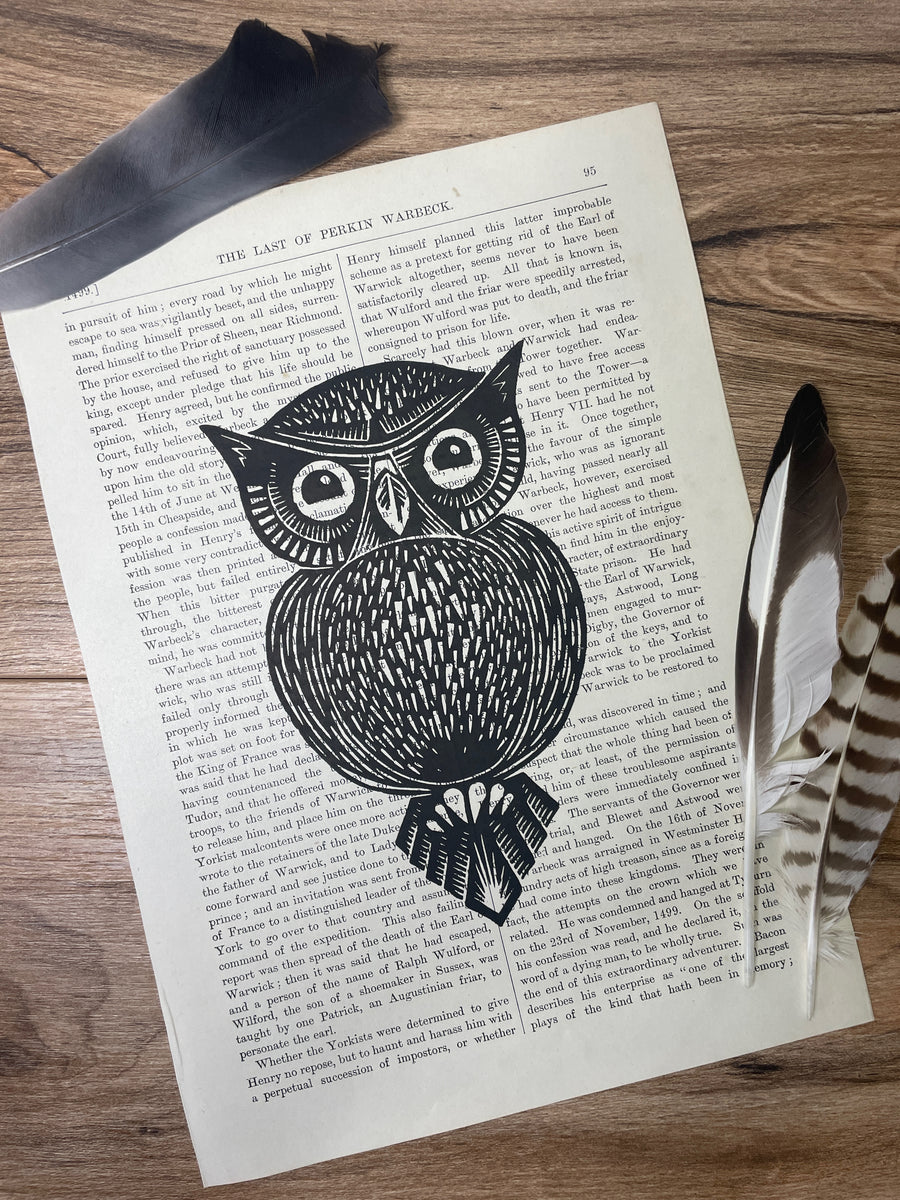 Owl Lino hand printed insect linocut print by Jackdaw and Bear